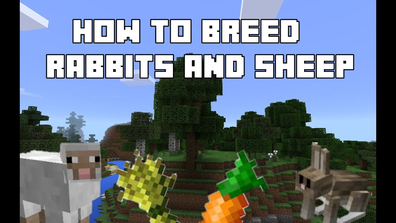 -MCPE 0.13.0- How to breed Rabbits and Sheep (Dye) - YouTube