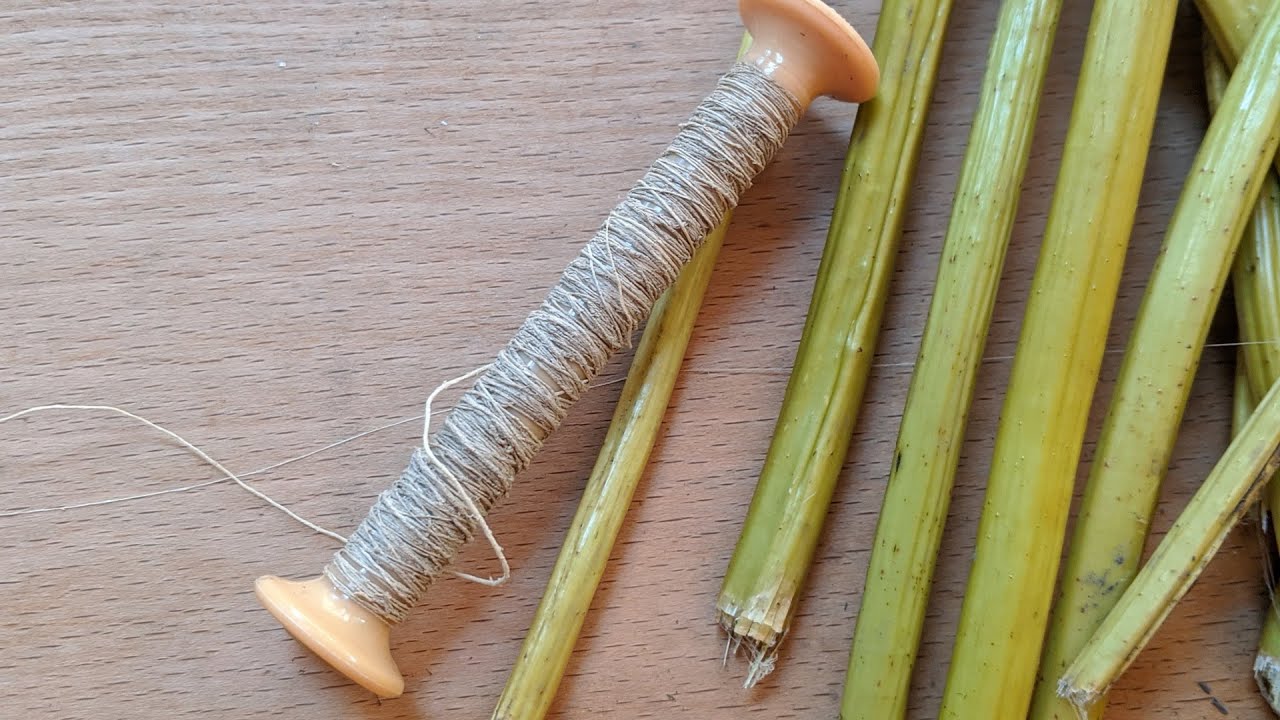 Harvesting Lotus Stems at the Powell Garden to Make Lotus Silk - YouTube