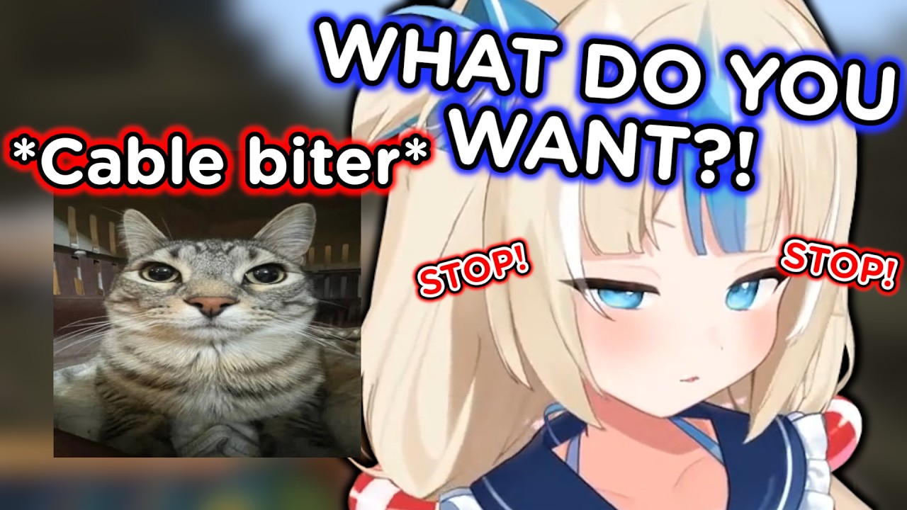 Saba Getting Attacked Live By Her Catto【Vtuber】 - YouTube