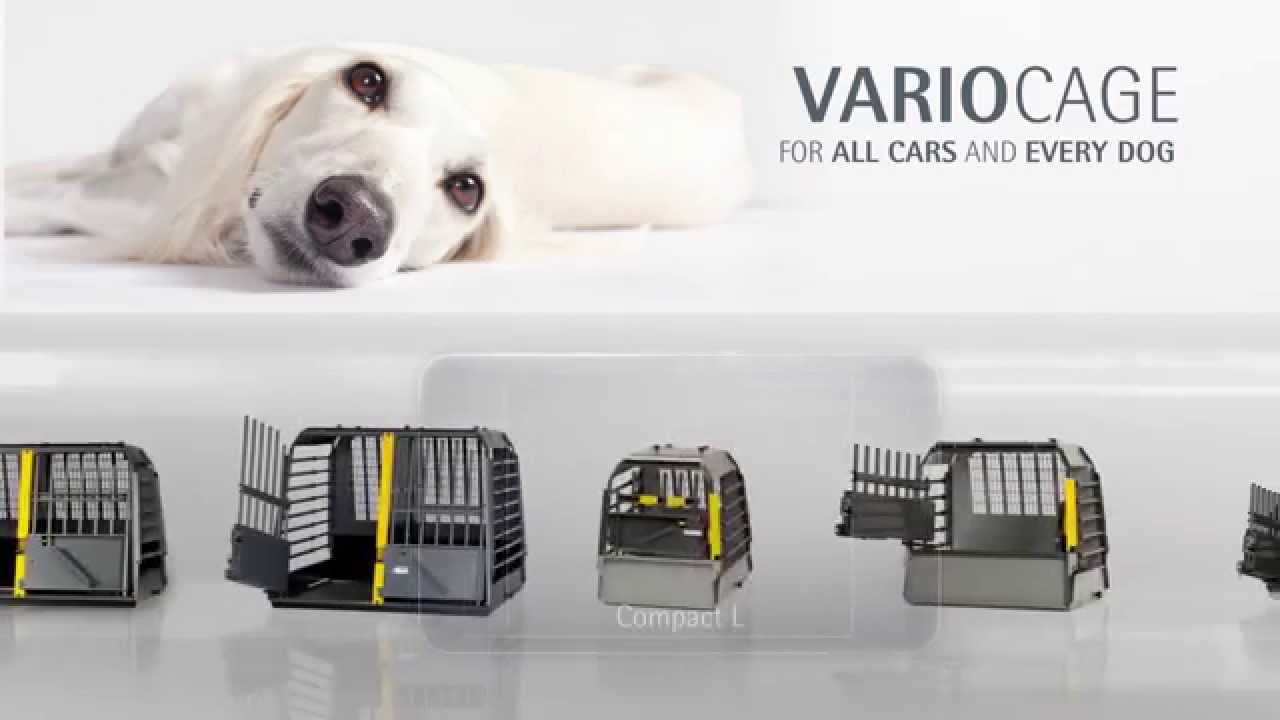 VarioCage--The World's Safest Dog Transport Crate - YouTube