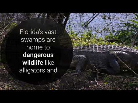 10 scary florida facts - YouTube