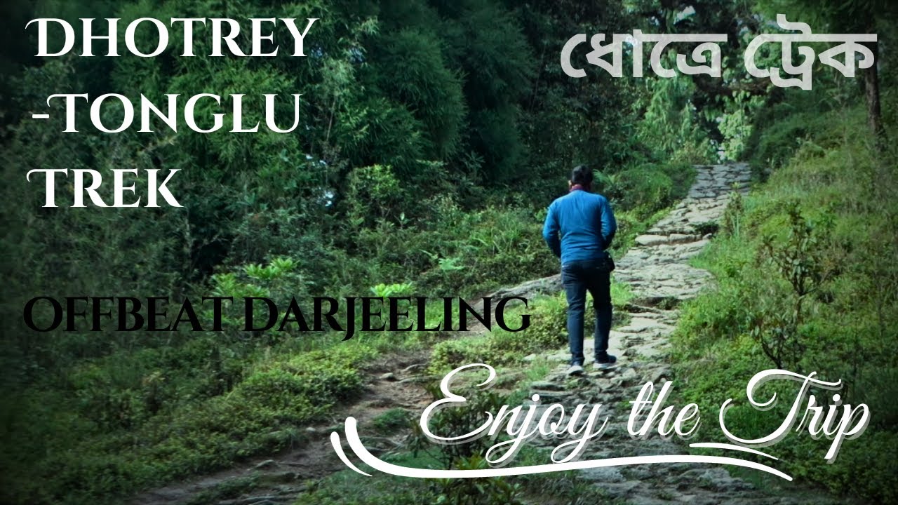 Offbeat Darjeeling | Dhotrey | Dhotrey-Tonglu Trek | ধোত্রে - YouTube