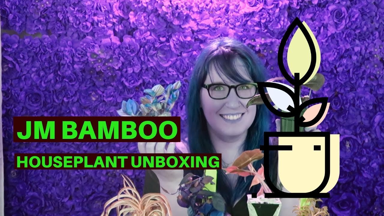 Unboxing JM Bamboo's Mystery Box: Terrarium Edition! - YouTube