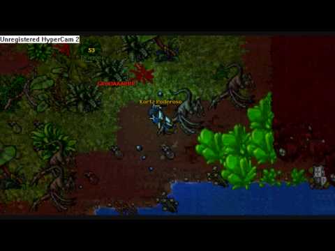 Tibia Hunt and Solo Behemoth - YouTube
