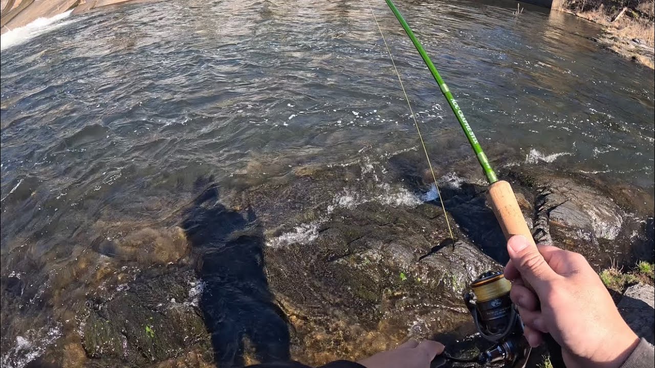 Trout fishing at Beaver’s Bend Lower Mountain Fork River - YouTube