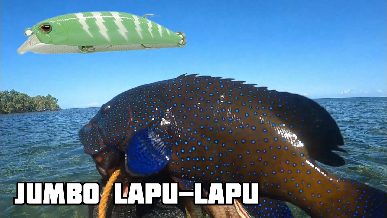 Paboritong Lure Ng Isdang Lapu-Lapu - YouTube