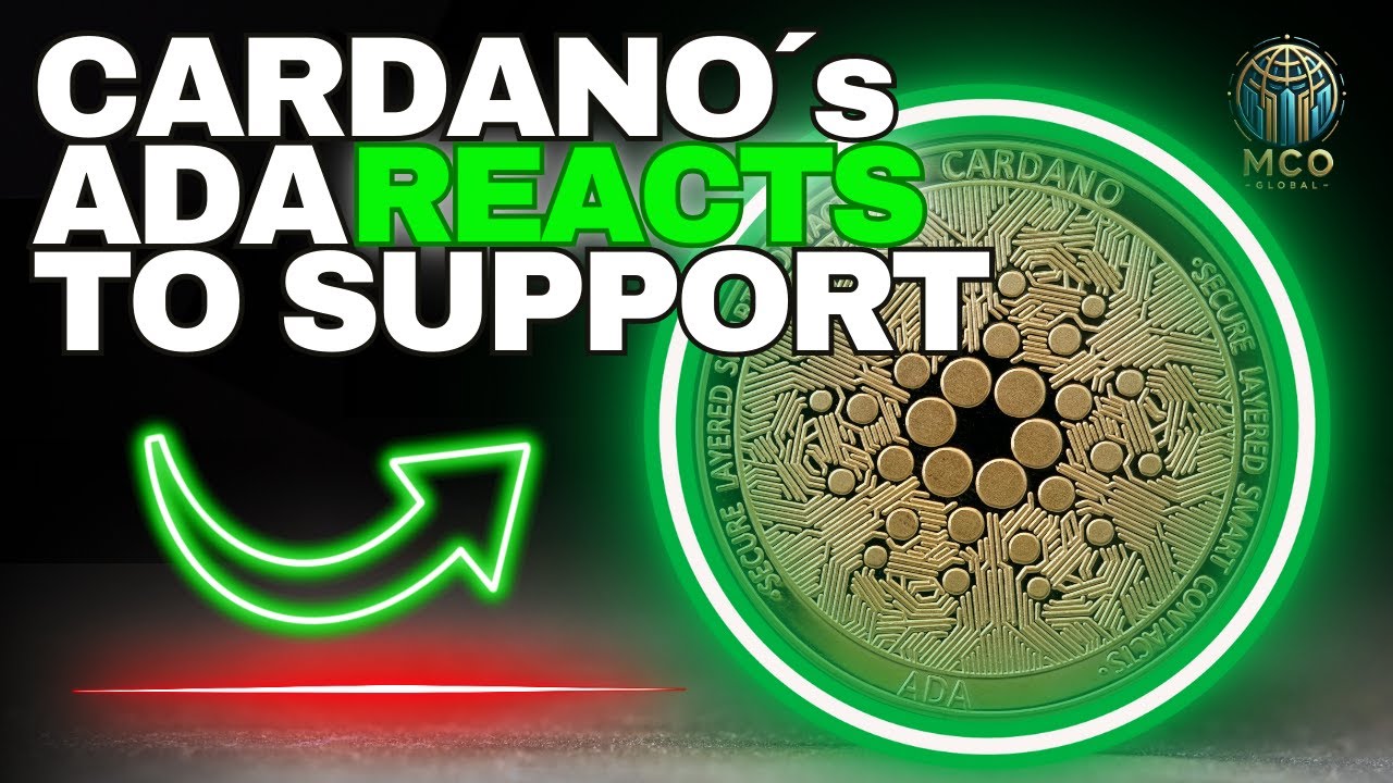 ADA in the Support Zone: Possible Reversal? - An Elliott Wave Analysis ...
