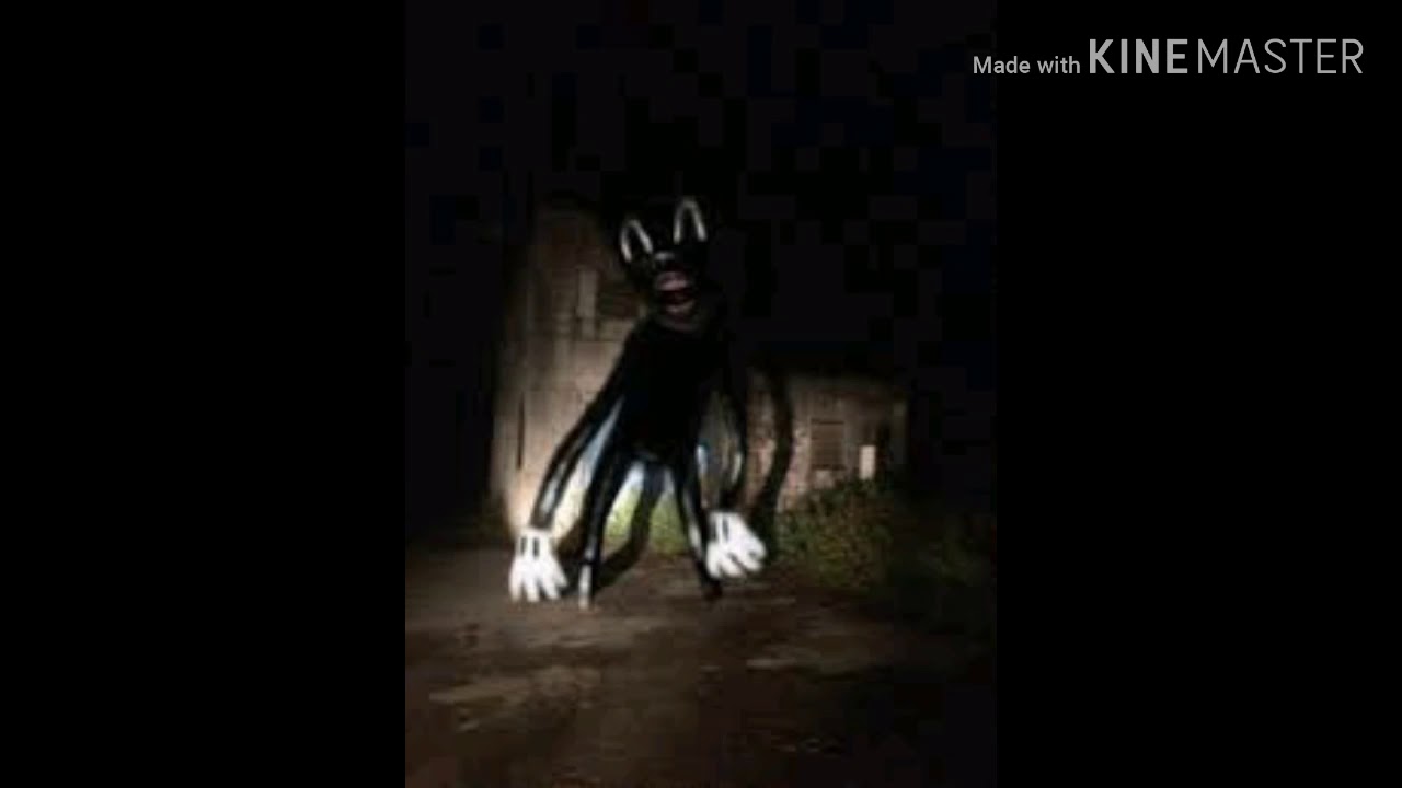 Cartoon cat (betty boop) - YouTube