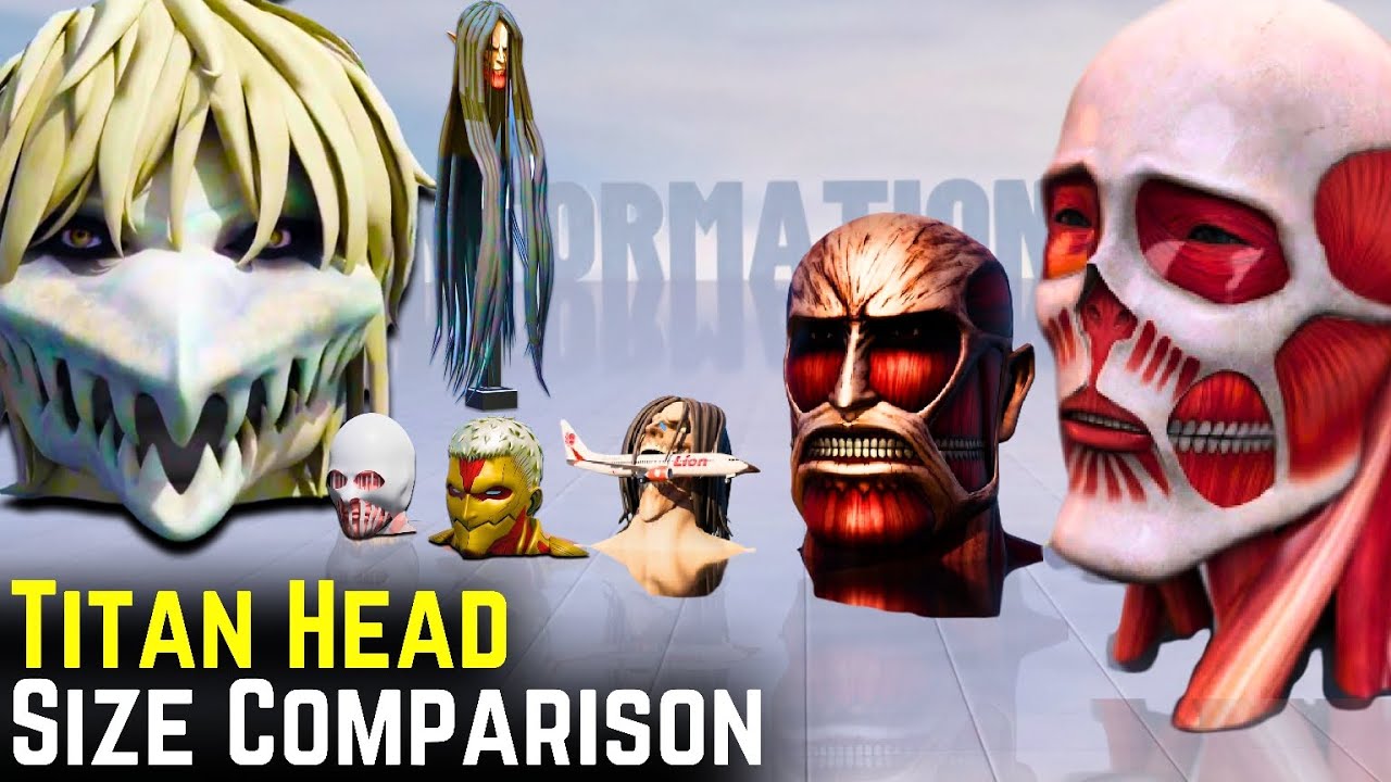 Titan Head Size Comparison 3D | #Titan #Sizecomoarison #titanseadsize ...