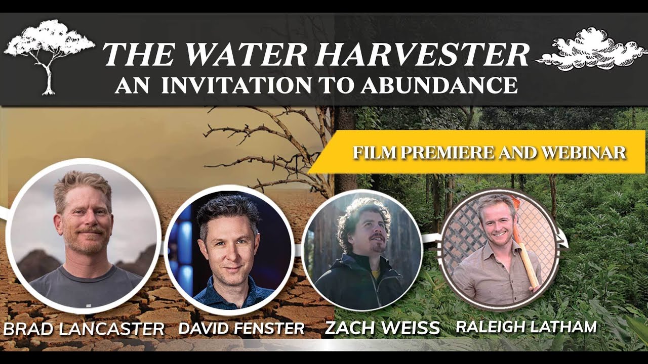 Webinar with Brad Lancaster the Water Harvester - YouTube