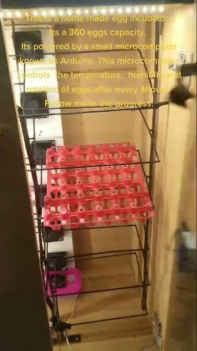 An Arduino based Homemade egg incubator #Arduino #Diy #poultry - YouTube