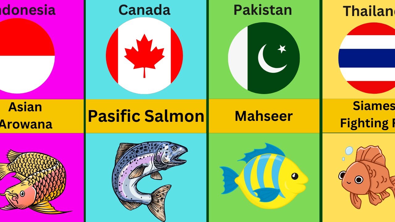 The Best Kept Secret of National Fish From Every Country - YouTube
