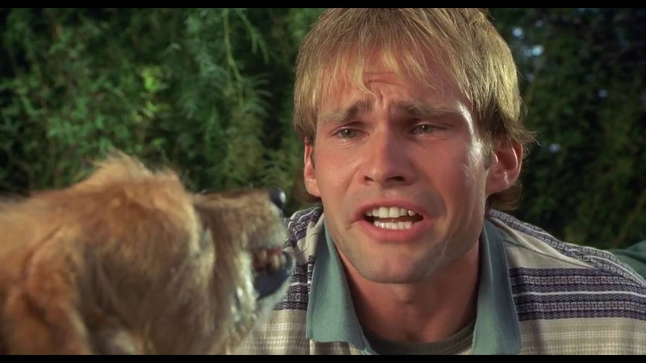 The Stoner dog - YouTube