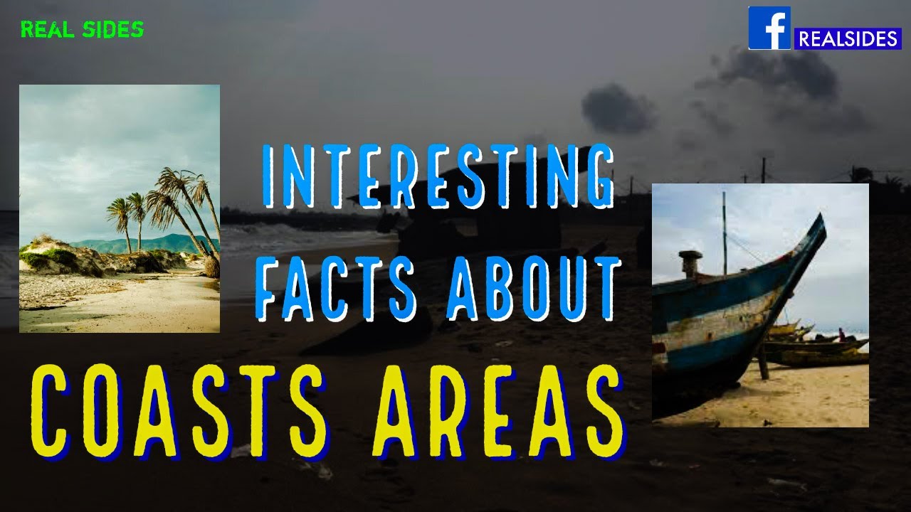 Coasts areas | Interesting Facts about Coasts areas | Real sides | RS ...