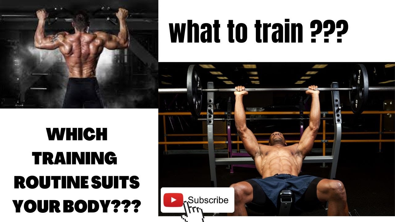 what to choose regular bro split or superset routine How to choose ...