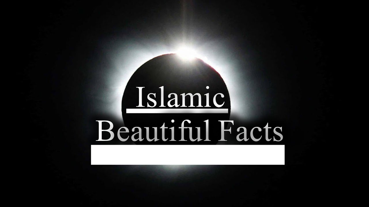 Islami Baten | Islamic wonderful word | Urdu piyari Baten | Urdu facts ...