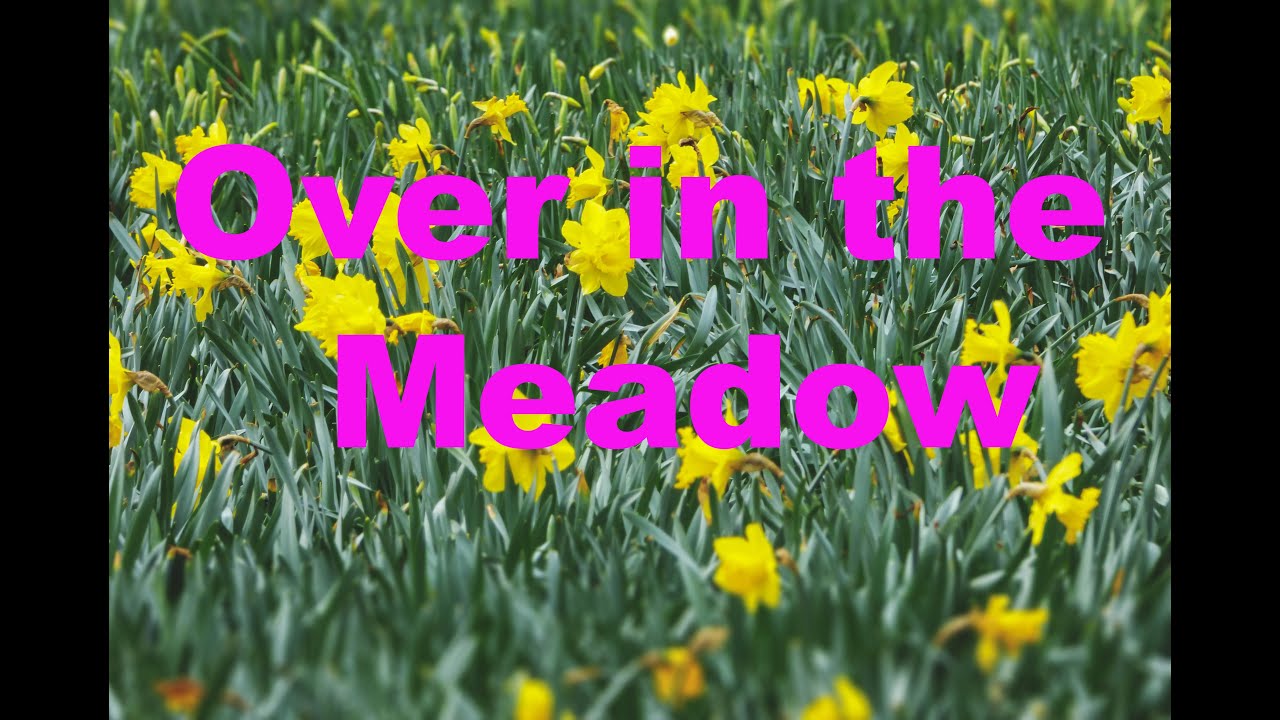 Story time Online_Kids Read Aloud_Over in the Meadow, Ezra Jack Keats ...