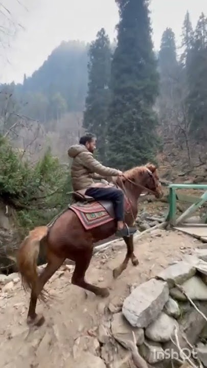 #trending #video Mian Mehar Ali Saab Larvi ️ ️ ️🥰 - YouTube