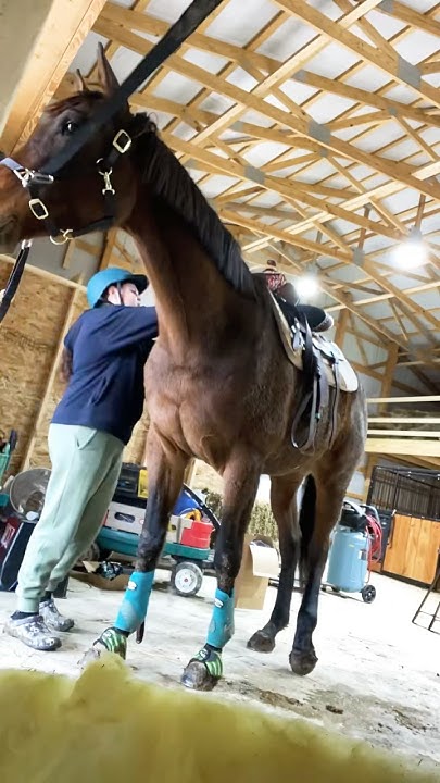 Finally, our last ride! Hope she goes places someday. - YouTube