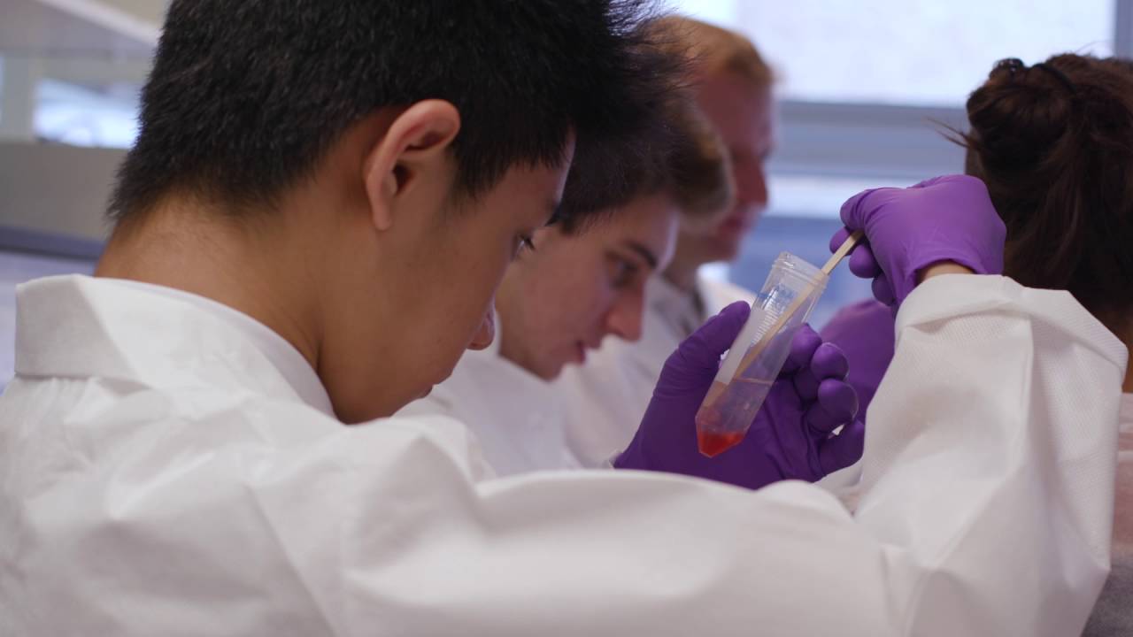 Sixth formers visit the MRC Cancer Unit as part of the MRC Festival ...