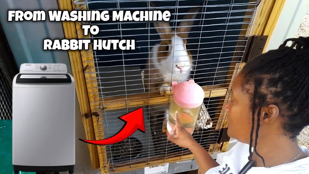 How To Transform A Old Washing Machine Into A Rabbit Hutch 🐇 - YouTube