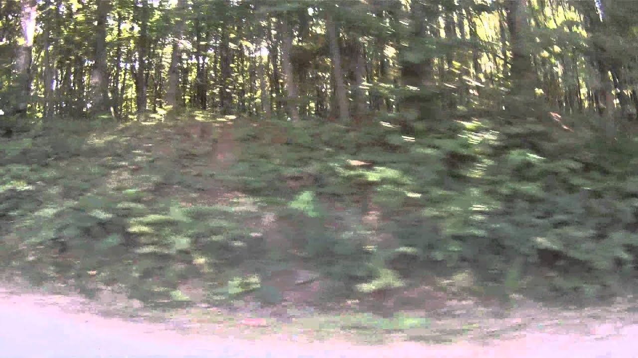 Mucesti Danulesti - Odobescu - Buda - Dedulesti - Rm Sarat - YouTube