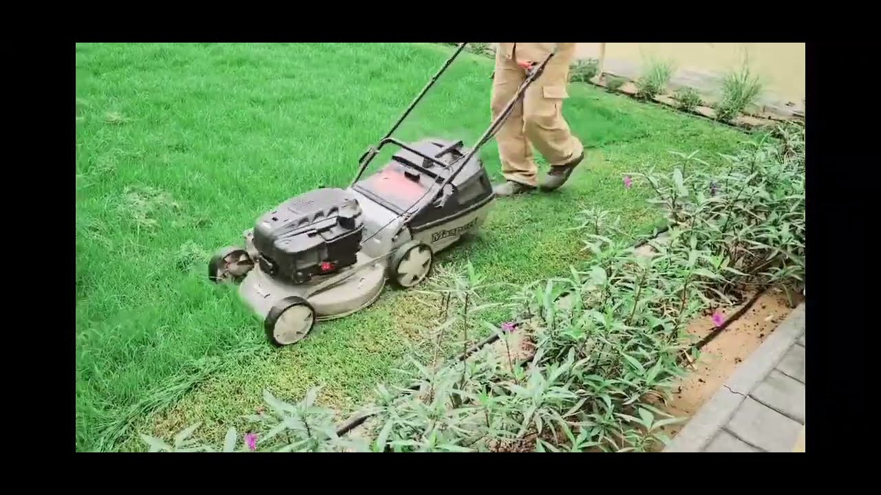 Green Serenity: Garden Maintenance Tips and Tricks" - YouTube