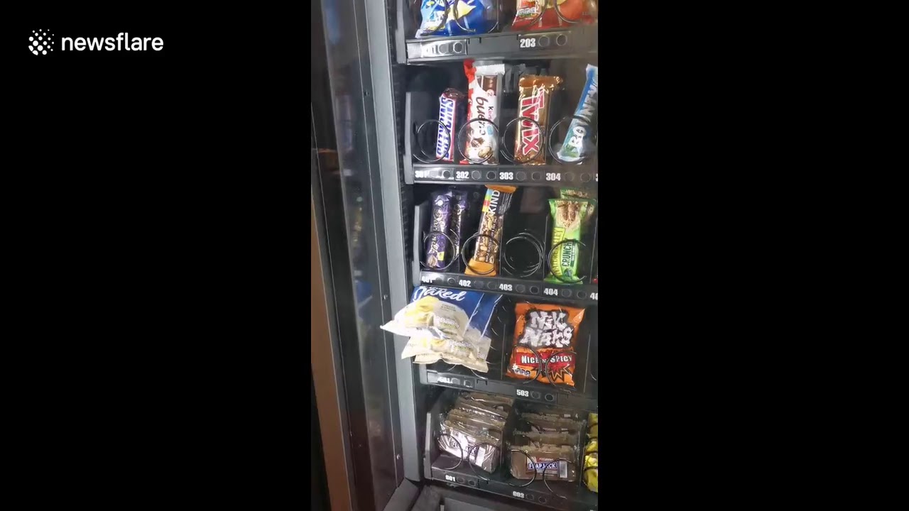 LiveLeak London office workers go crazy for epic vending machine win ...