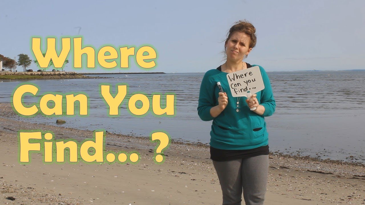 Where Can You Find ... ? - YouTube
