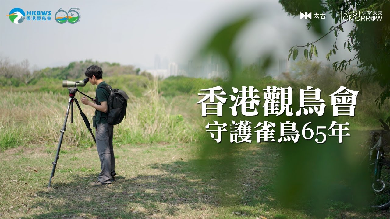 千禧世代的鳥類守護者 The millennial bird conservationists - YouTube