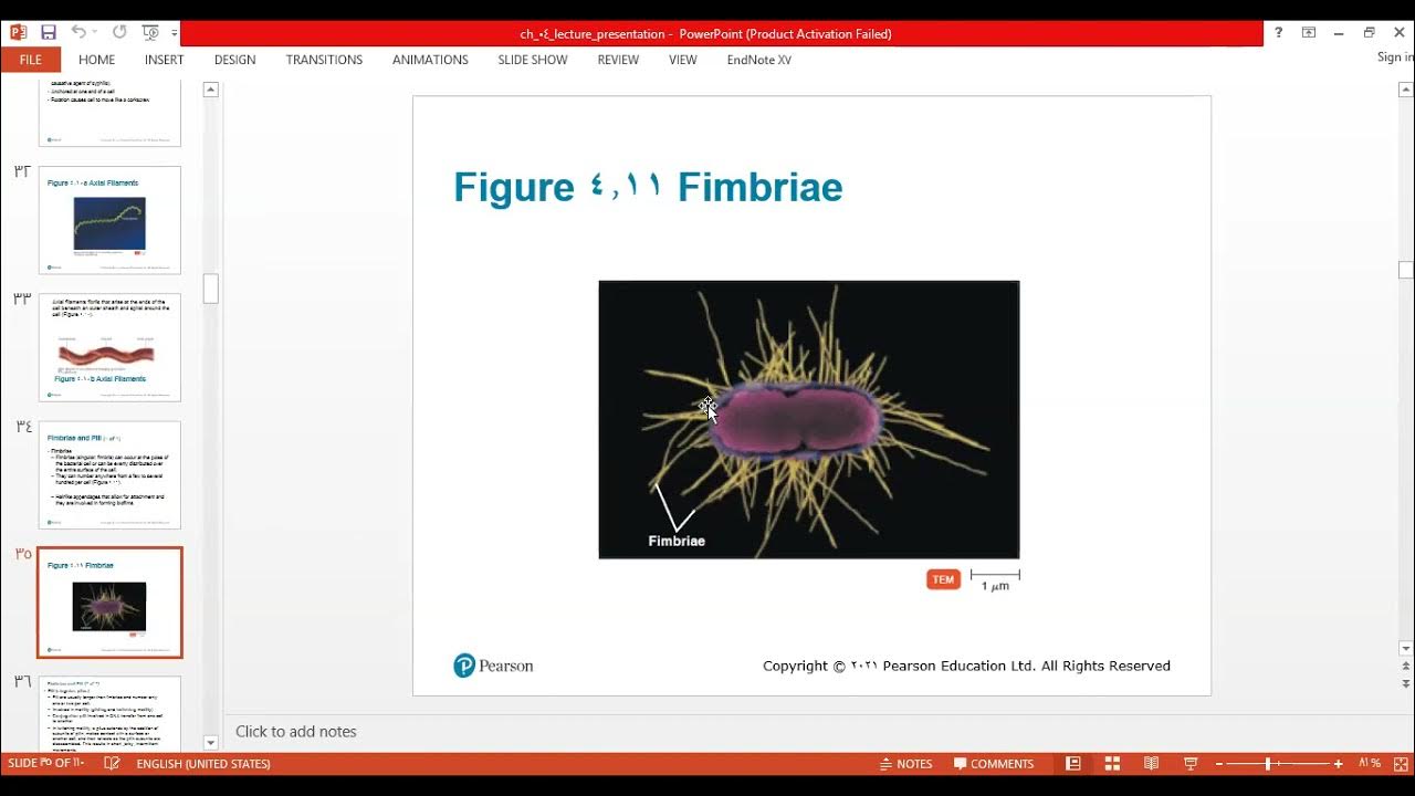 lecture #4 part 3 of chapter 4 - YouTube