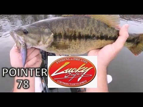 Bass Fishing with Lucky Craft Pointer 78 (kayak bass fishing)