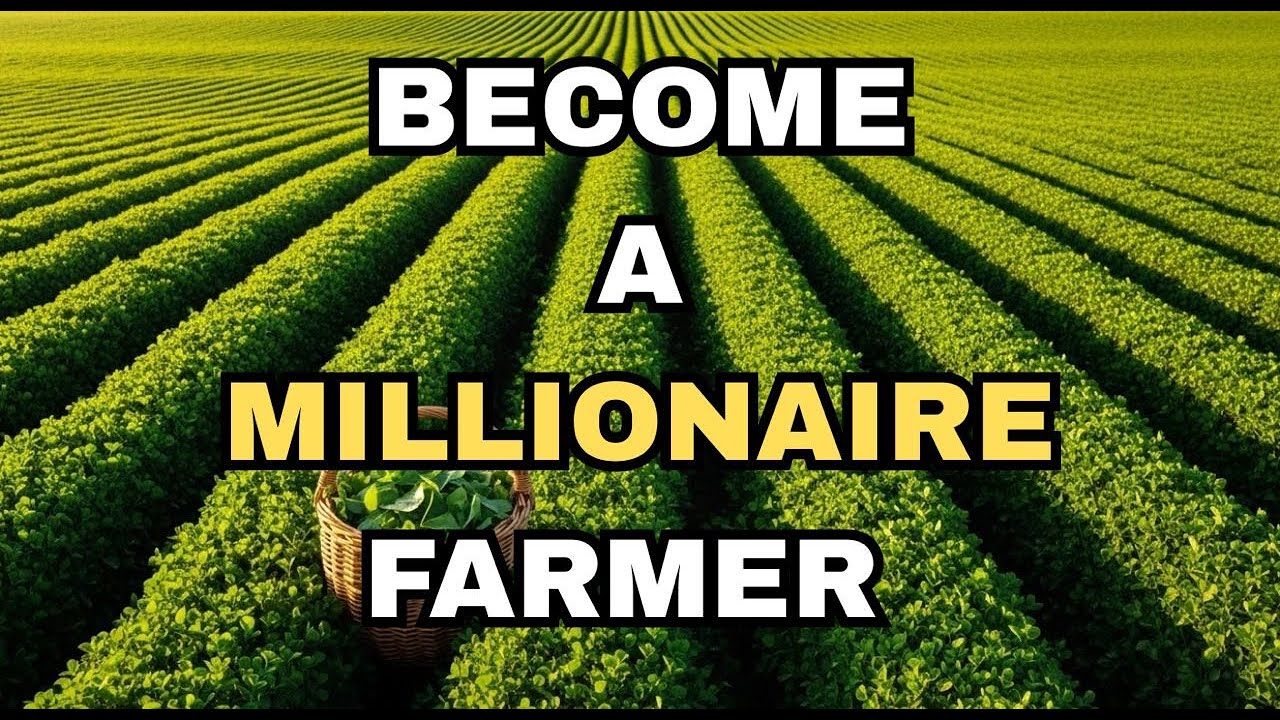 6 High Profit Crops Turning Ordinary Farmers Into Millionaires - YouTube