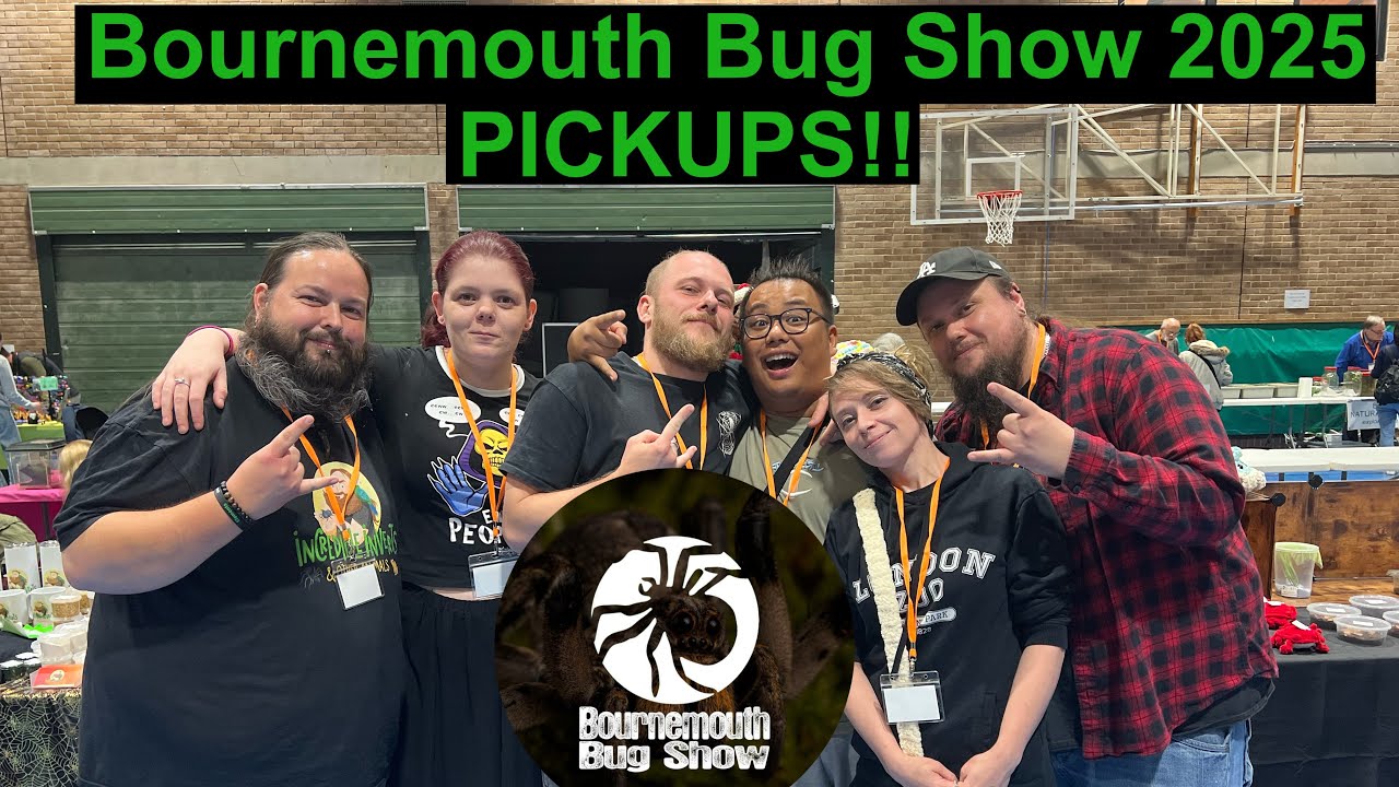 Bournemouth Bug Show 2025 PICKUPS!! - YouTube