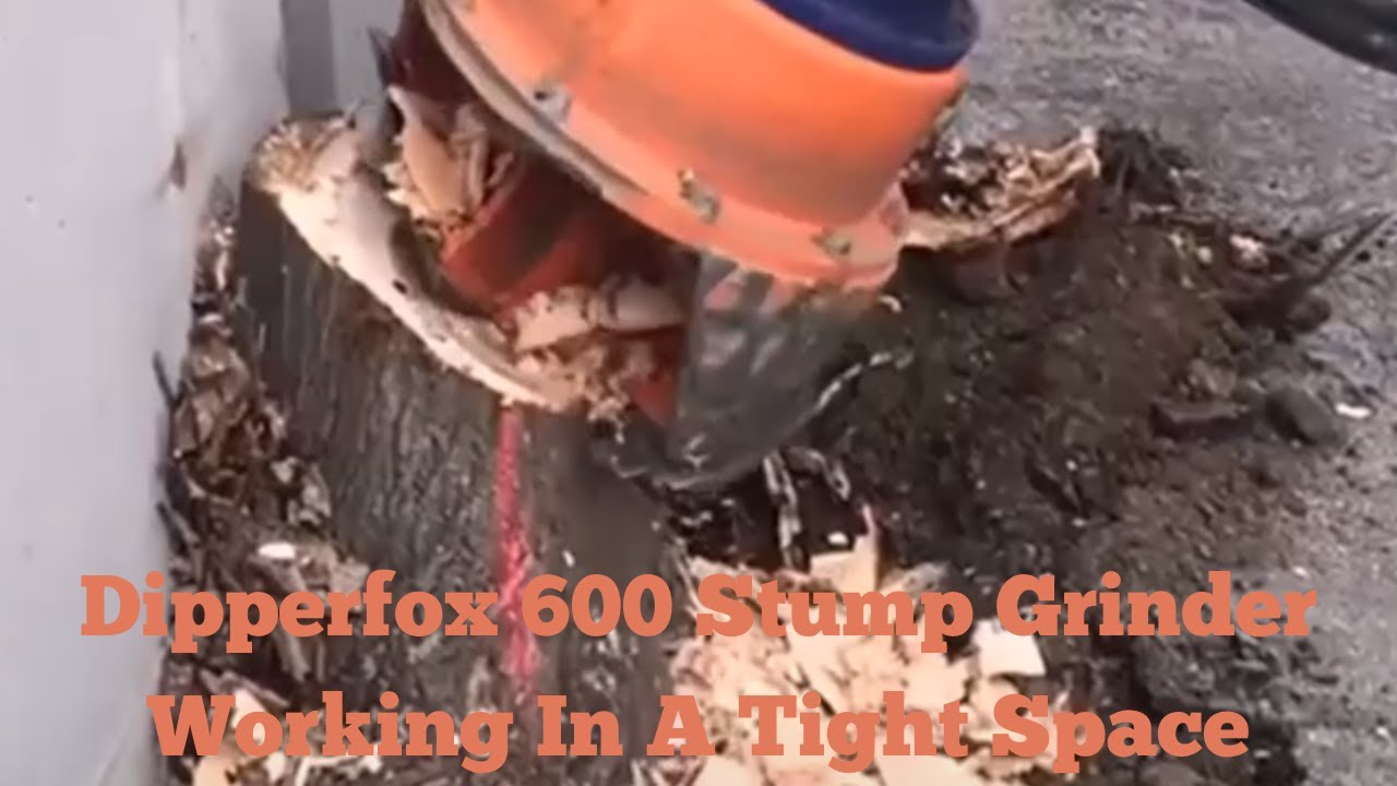 Dipperfox 600 Stump Grinder Working In A Tight Space - YouTube