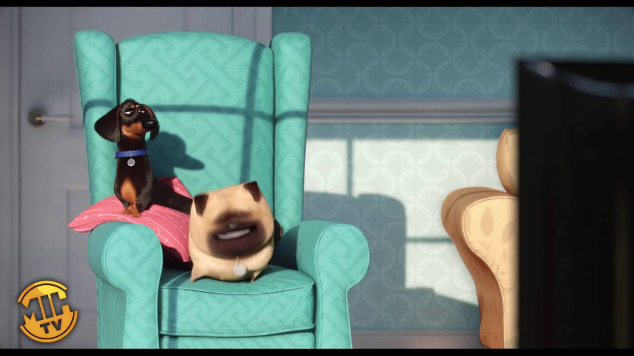 The Pets watch their favorite TV program - The Secret Life of Pets ...