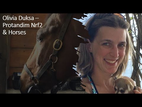 Nrf2 Protandim & Horses & a Dog - YouTube