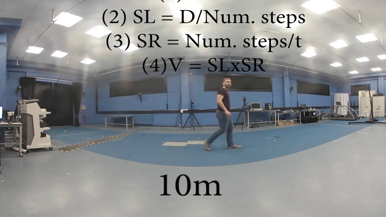Velocity, Step Length and Step Rate - YouTube