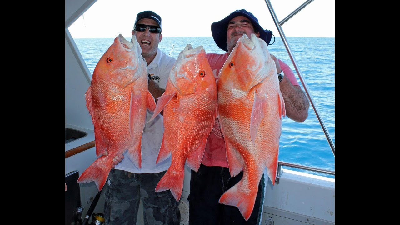 Centurion fishing charters with Reefari Mothershipping!! Slideshow ...