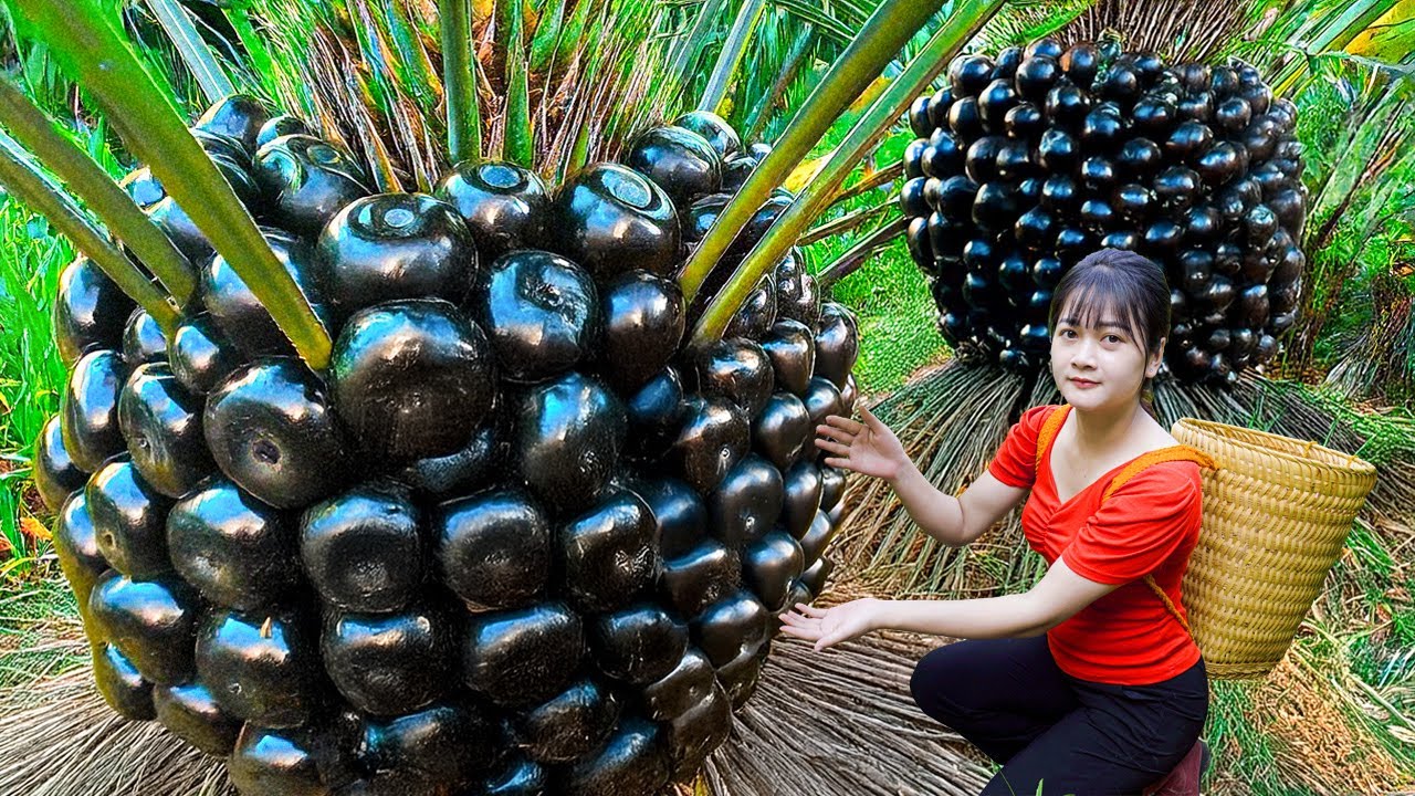 Harvest giant mutant sweet pecan to sell - Unique traditional recipe ...