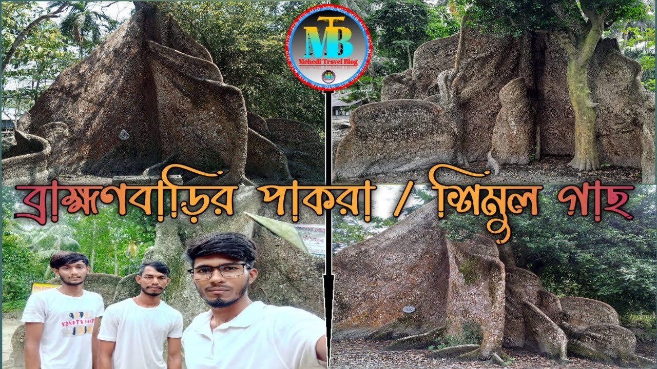 ব্রাহ্মণবাড়ির ঐতিহ্য পাকড়া/শিমুল গাছ Brammonbarir oitijzo pakra ...