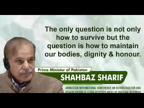 The only question is not only how to survive - YouTube