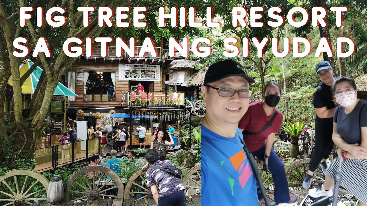 Fig Tree Hill Resort sa gitna ng Siyudad ng Penang I A day with James ...