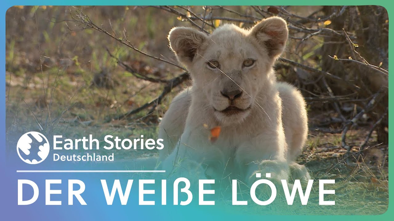 Das seltenste Tier der Welt? | HD Doku | Earth Stories Deutschland ...