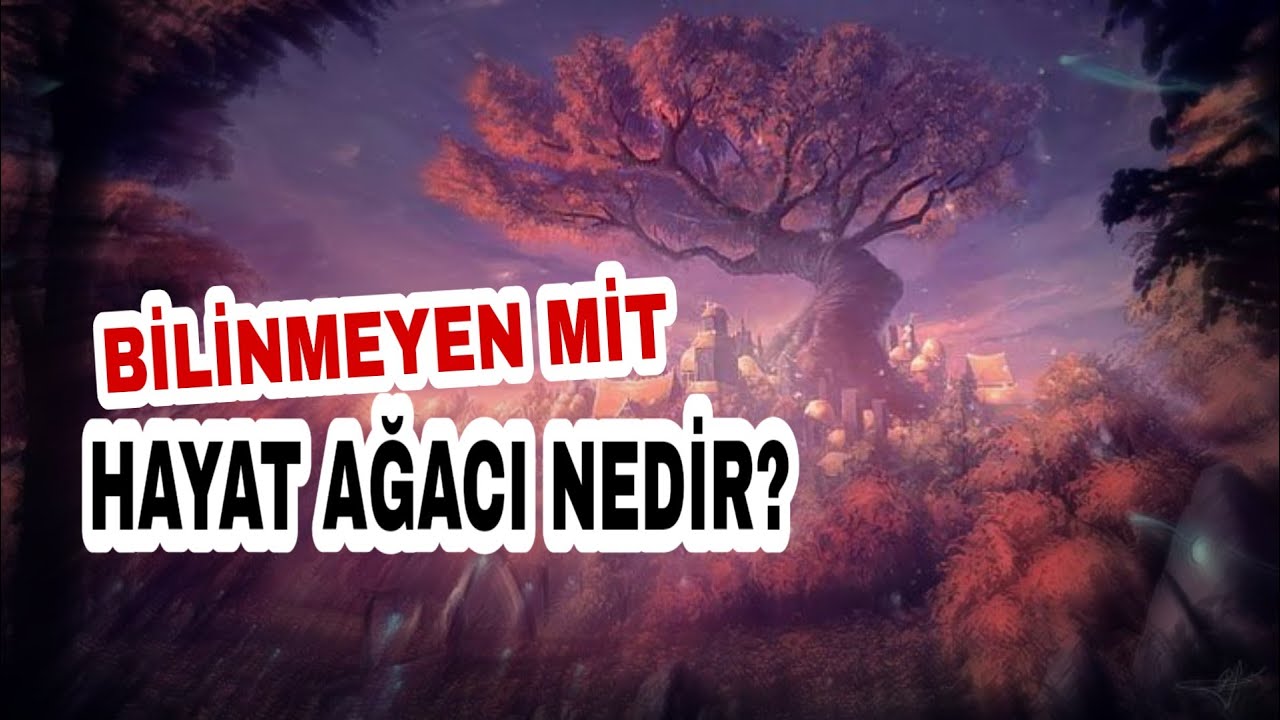 KİMSENİN BİLMEDİĞİ MİT HAYAT AĞACI NEDİR? - YouTube