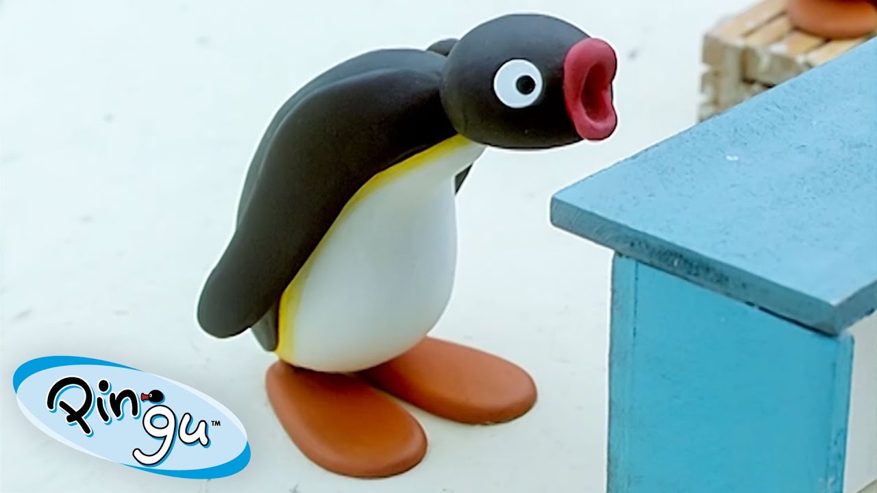 Pingu Loses the Bet 🐧 | Pingu - Official Channel | Cartoons For Kids ...