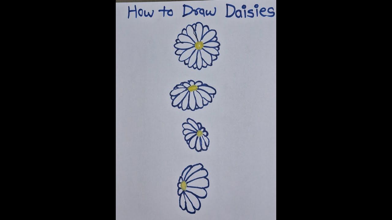 HOW TO DRAW DAISES FLOWER STEP BY STEP.||Aai Draws|| - YouTube
