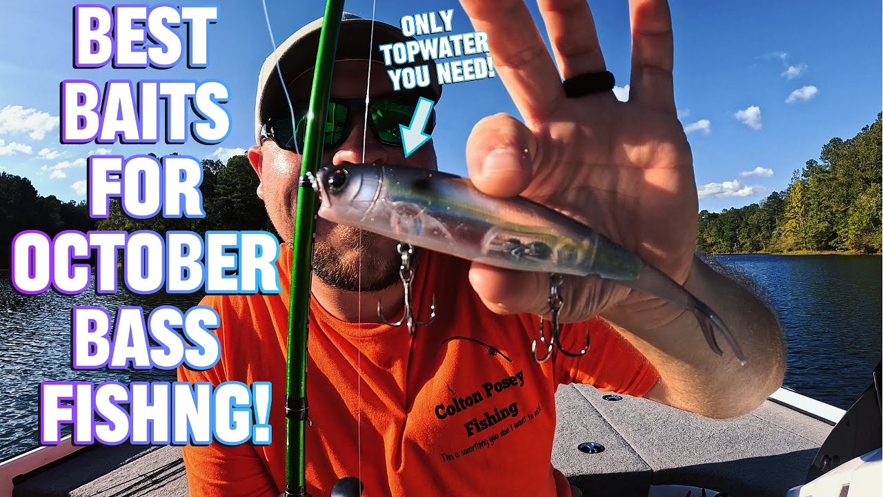 These Baits Catch Tons of Bass in October (Best Baits for October Bass ...