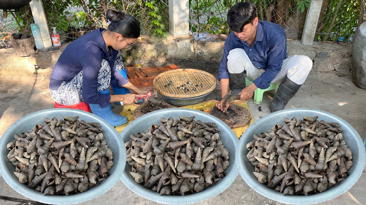 How to Cook Sea Snails by Two Countryside Chefs - YouTube