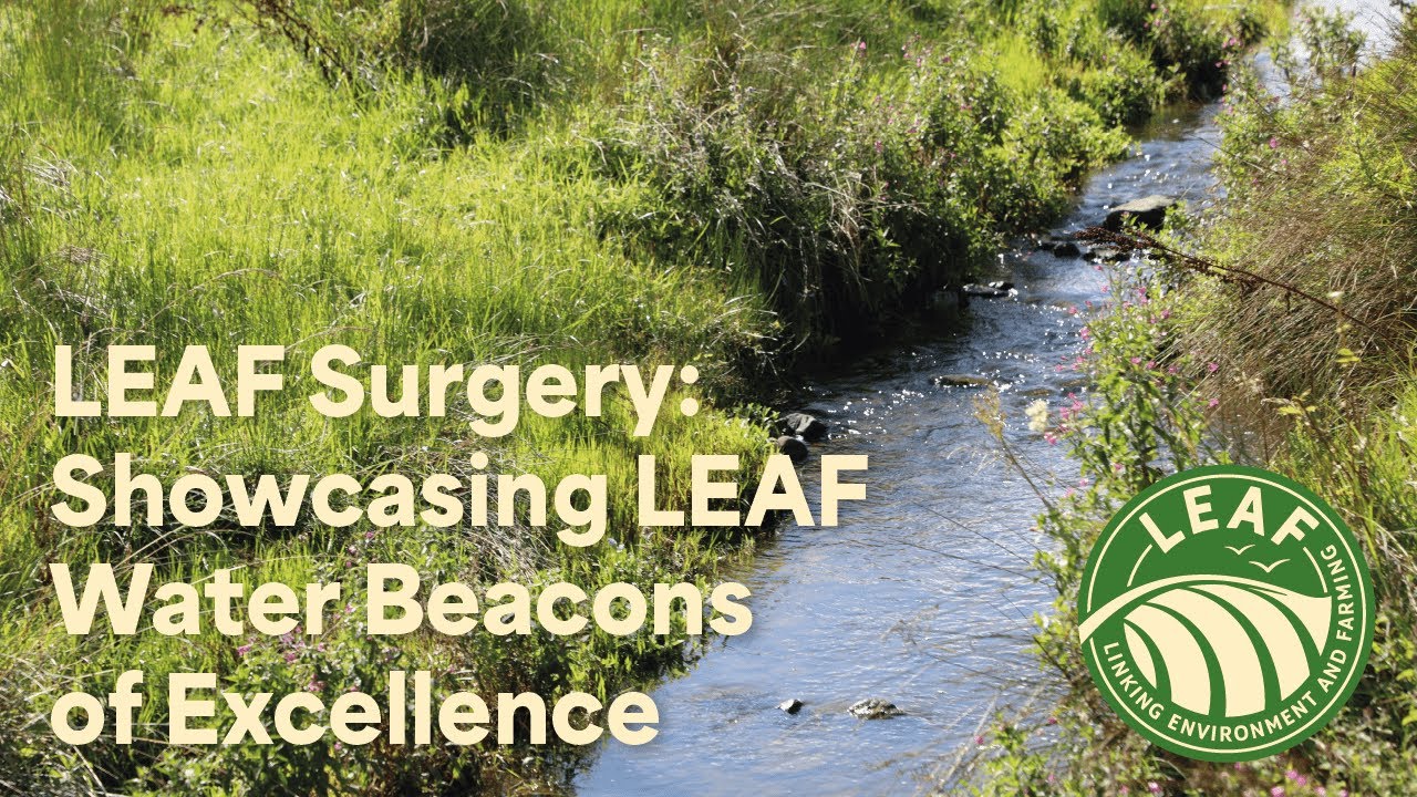 LEAF Surgery S3.Ep2 | Showcasing LEAF Water Beacons of Excellence - YouTube